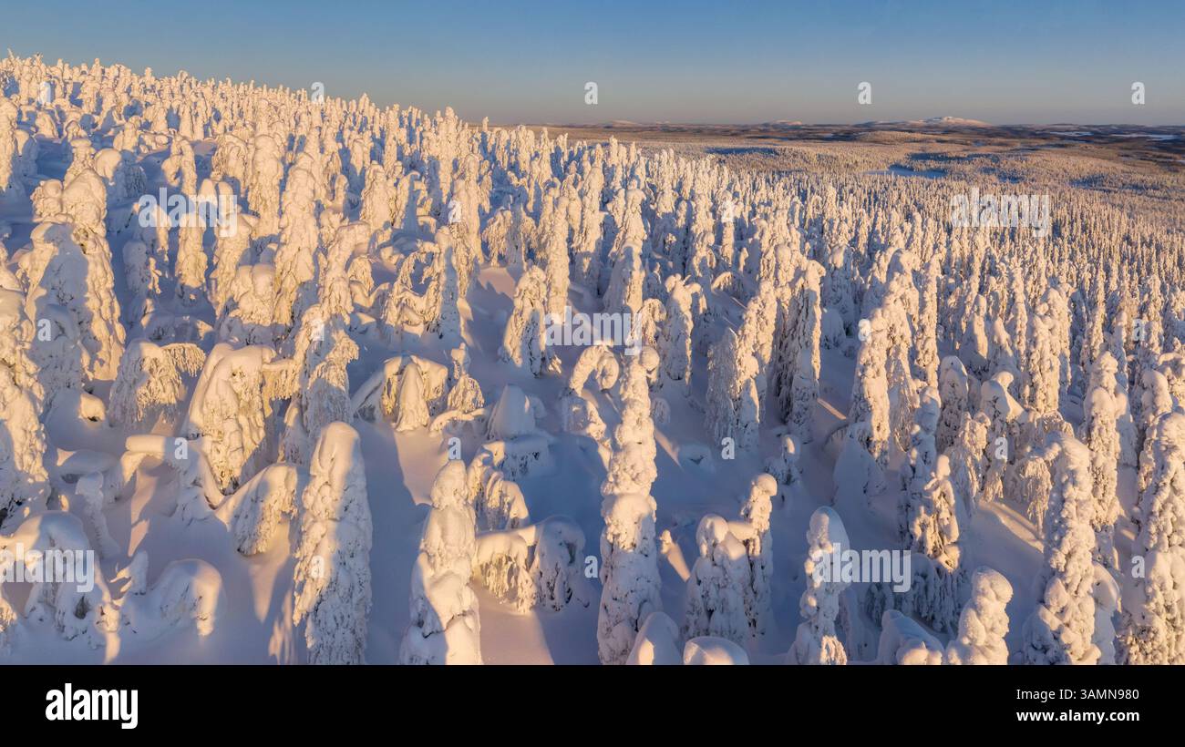 Aerial view of Lapland, Finland Stock Photo - Alamy