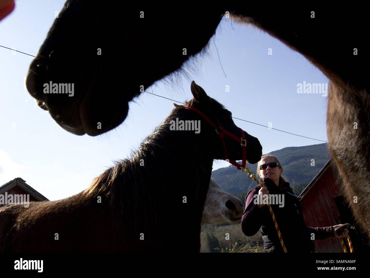 Oso hospital hi-res stock photography and images - Alamy