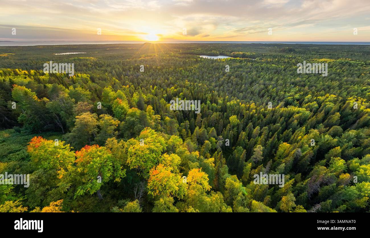 Aerial view of a forest in Solovetsky Islands, Russia Stock Photo - Alamy
