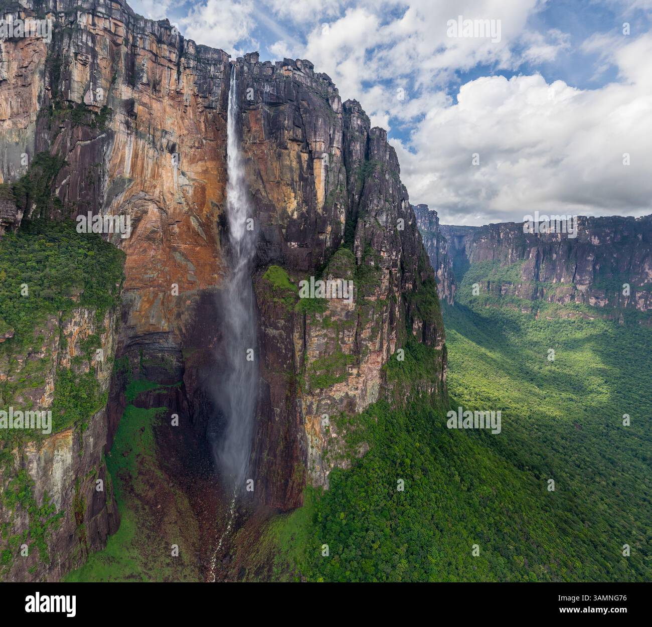 Aerial view of Angel Falls, Venezuela Stock Photo - Alamy