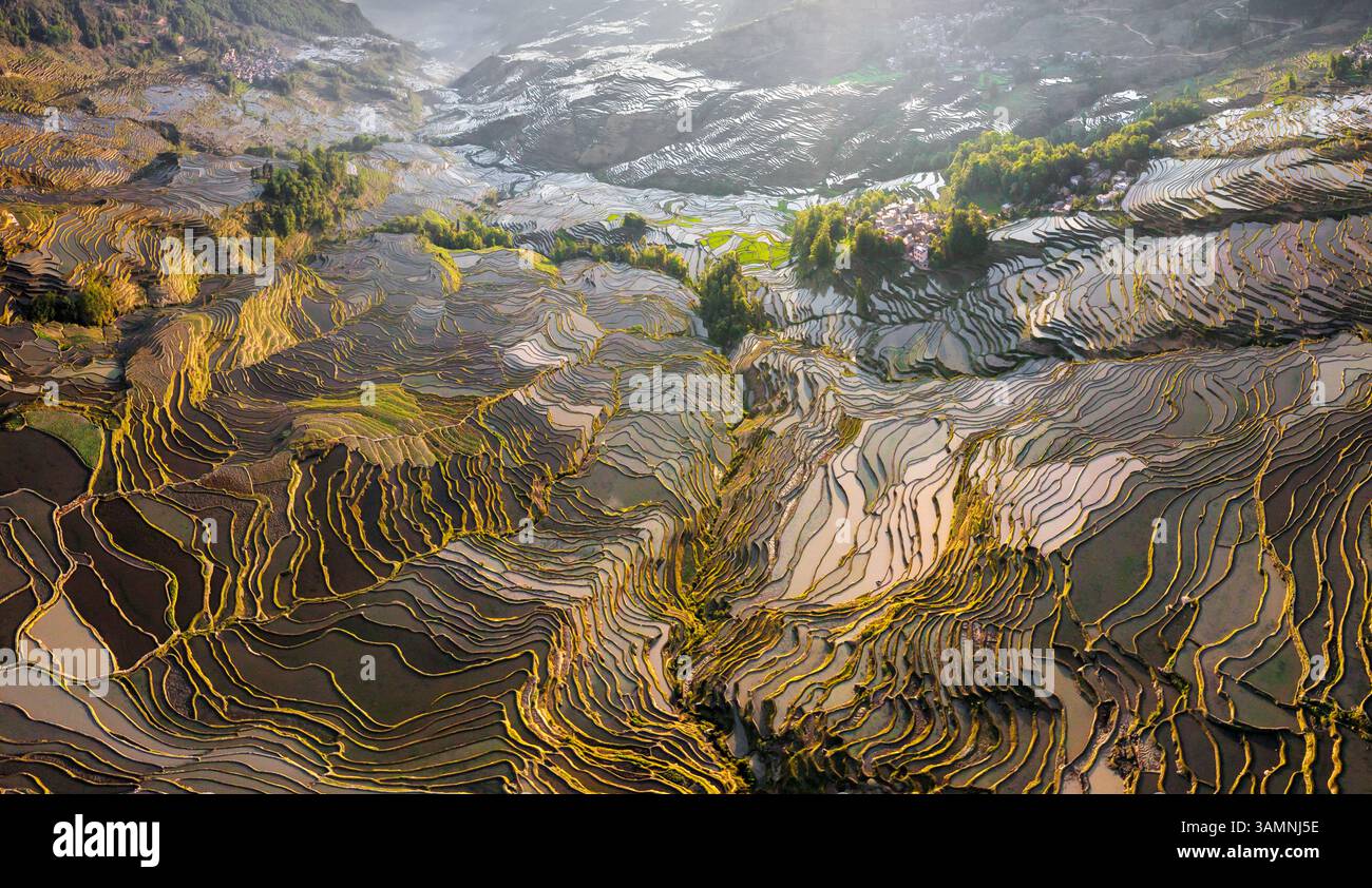 Aerial view of the Yuanyang Hani Rice Terraces, China Stock Photo - Alamy