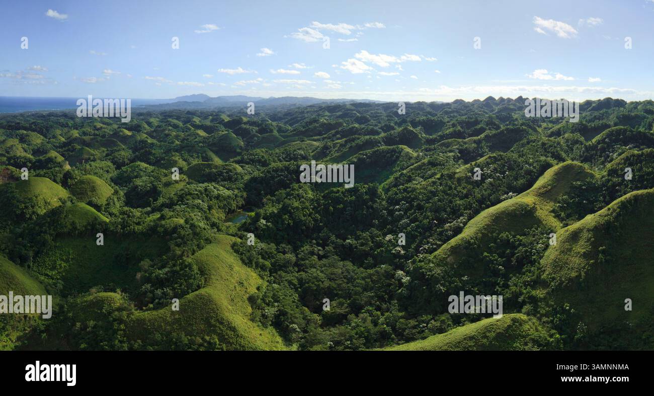 Aerial view of a jungle forest in the Dominican Republic Stock Photo ...
