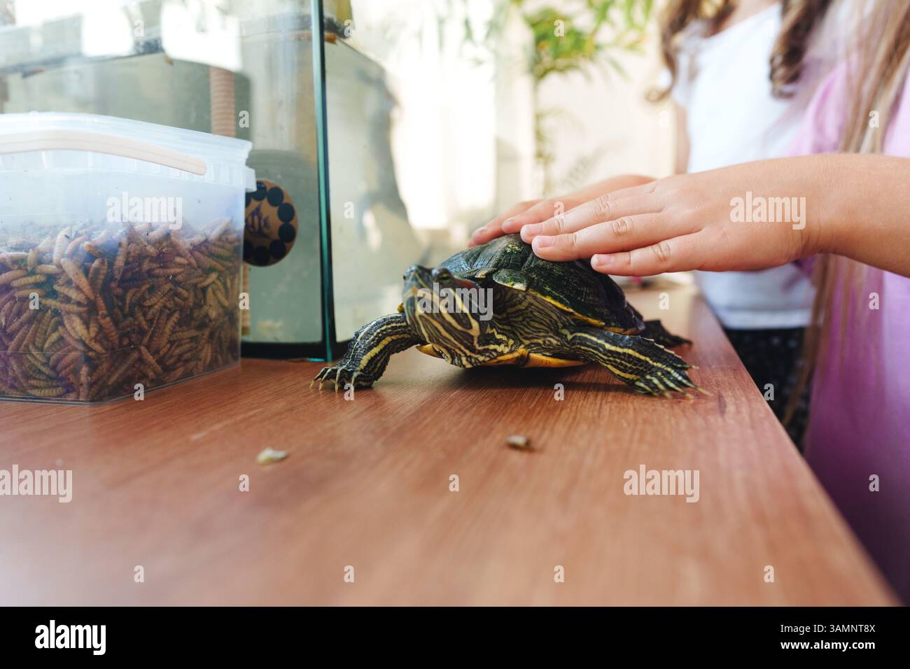 Children interact with a turtle at a nature center while learning about ...