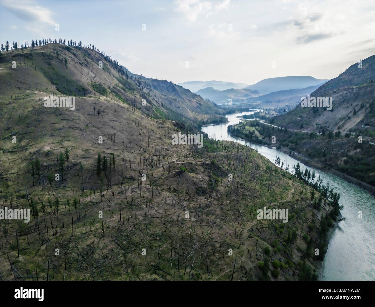 Aerial view of north thomson river winding through a forest of burned ...