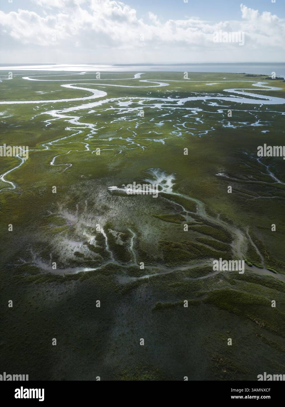 Aerial view of abstract wetlands with meandering river and beautiful ...