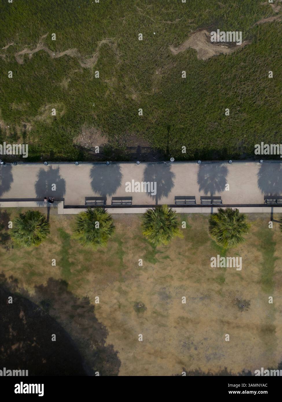 Aerial view of palm trees shadows over a tranquil park pathway with ...