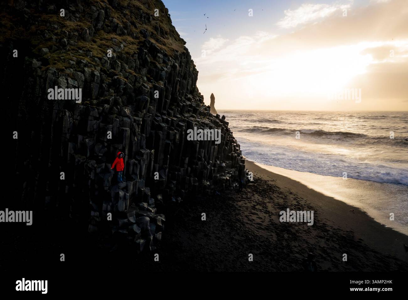 Aerial view of Reynisfjara black beach with basalt columns and one person, Southern Iceland ...