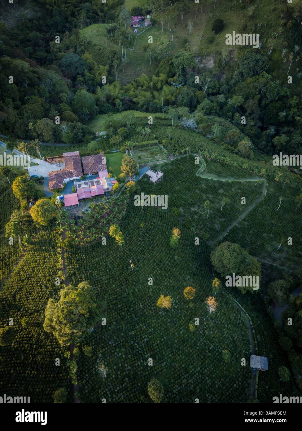 Aerial view of lush coffee plantation and village in Salento, Quindio ...