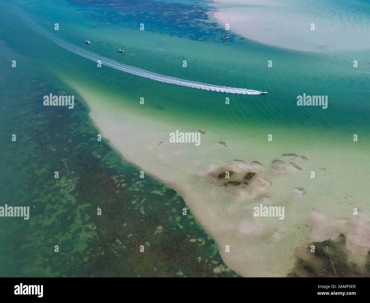 Aerial view of colorful boat and people on turquoise water near Dunedin ...