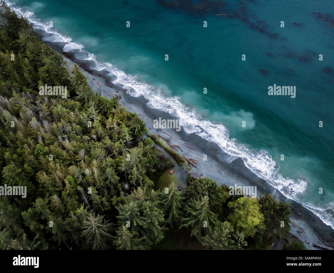 Aerial view of serene coastline with untouched forest and rocky shore ...