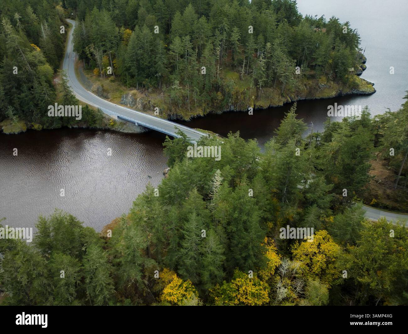 Aerial view of winding road and bridge through lush forest and serene ...