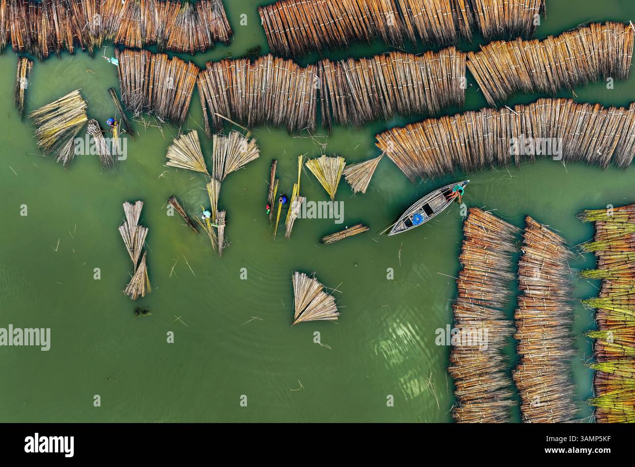 Aerial view of jute retting with traditional wooden boats on a serene ...
