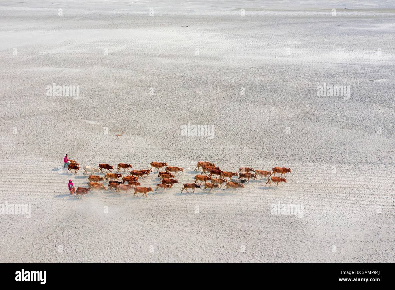 Kanchi river hi-res stock photography and images - Alamy