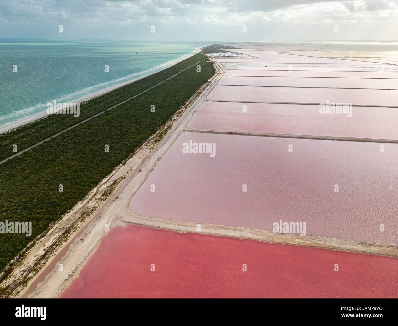 Aerial View of pink salt lakes and las coloradas beach, Río Lagartos ...