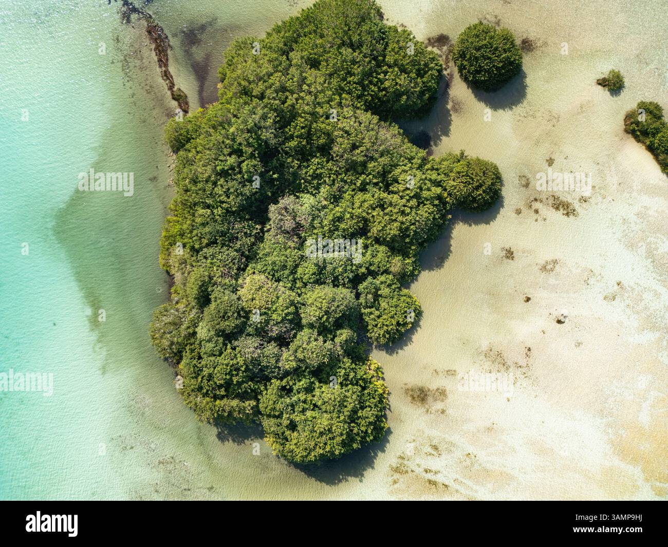 Aerial View of Isla de los Pájaros, Bird Island, Bacalar Lagoon ...