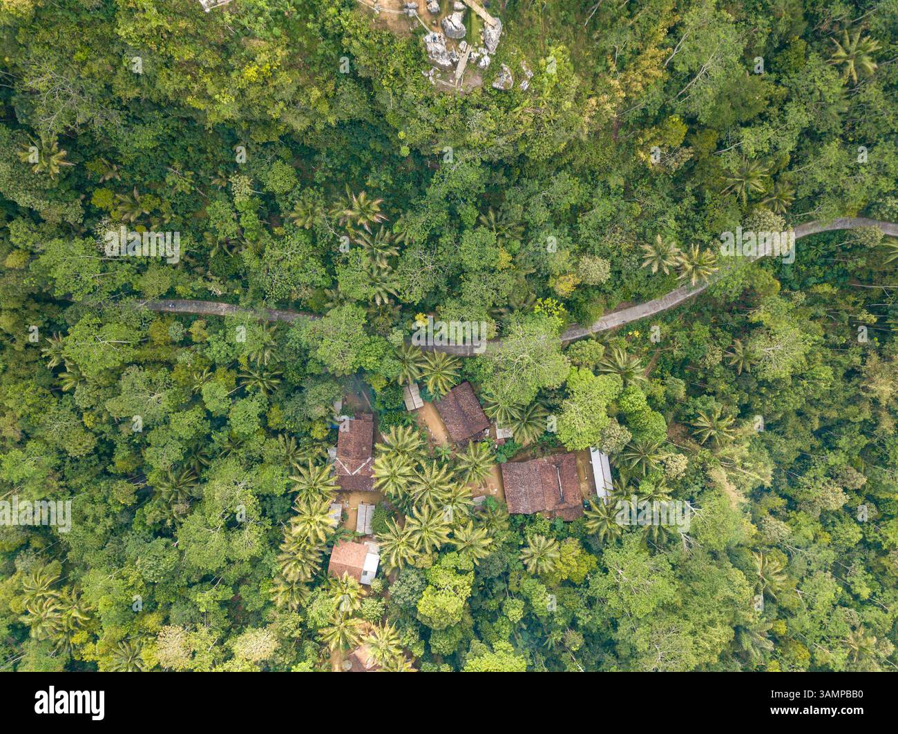 Aerial view of Indonesian Jungle with Huts, Kabupaten Purworejo, Jawa ...
