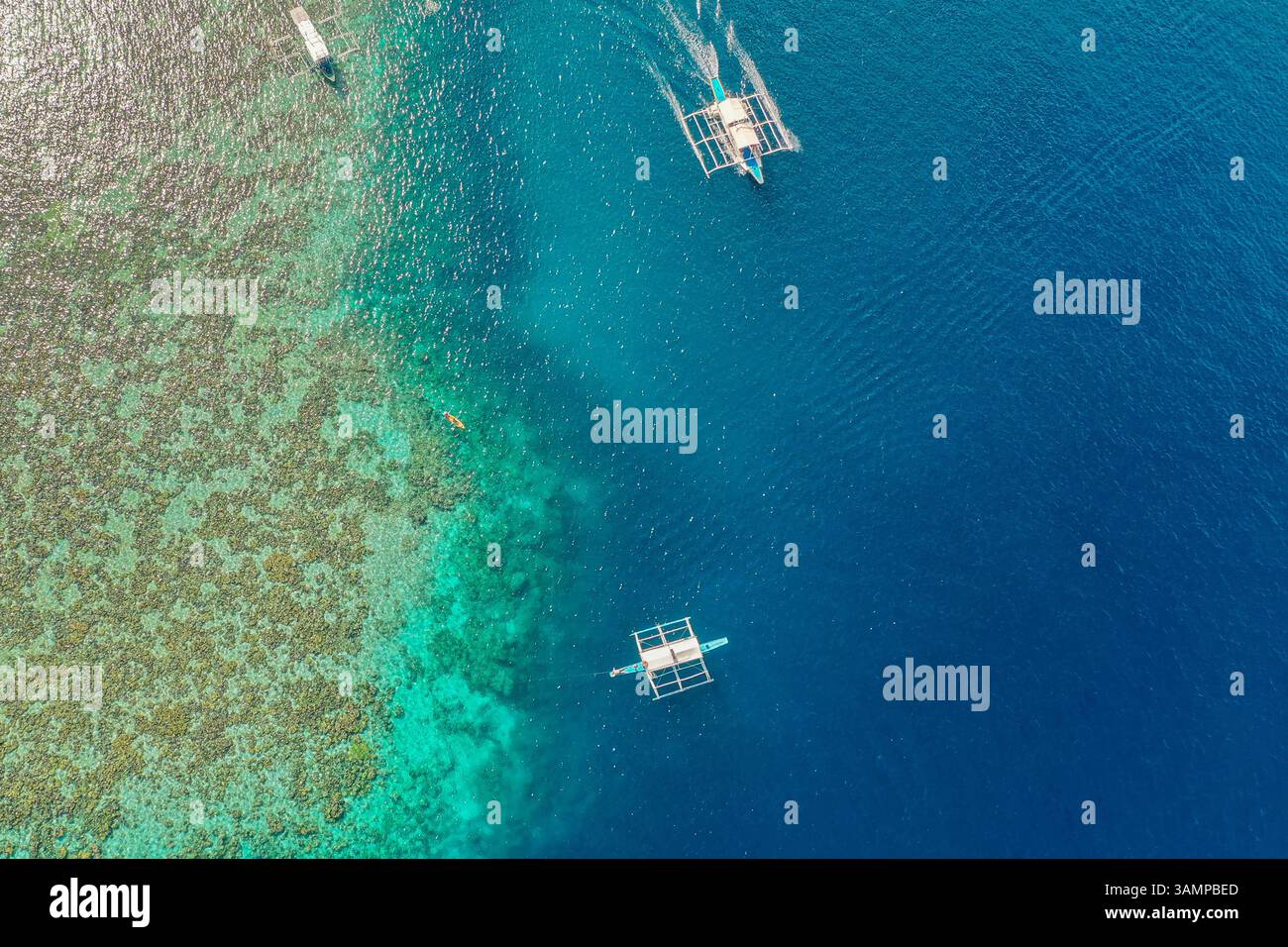 Aerial view of Reef with outrigger boats in front of CYC Beach, Coron ...
