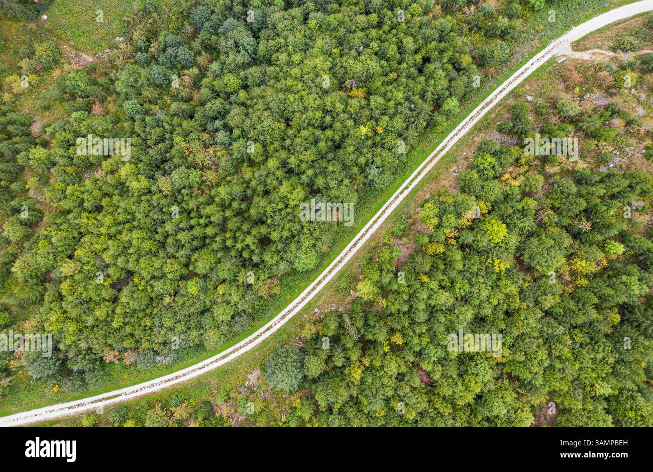 Aerial view of black forest path, Black Forest, Baden-Würtemberg ...