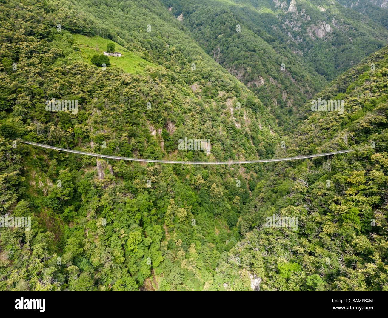 Aerial View of suspension bridge (Ponte Tibetano), Bellinzona, Canton ...