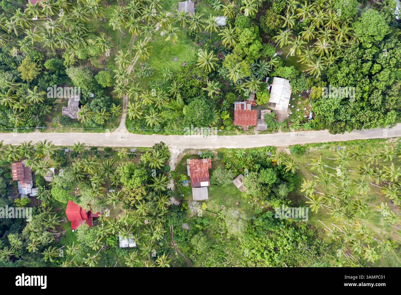 Aerial view of a street with houses, Panglao, Bohol, Philippines Stock ...