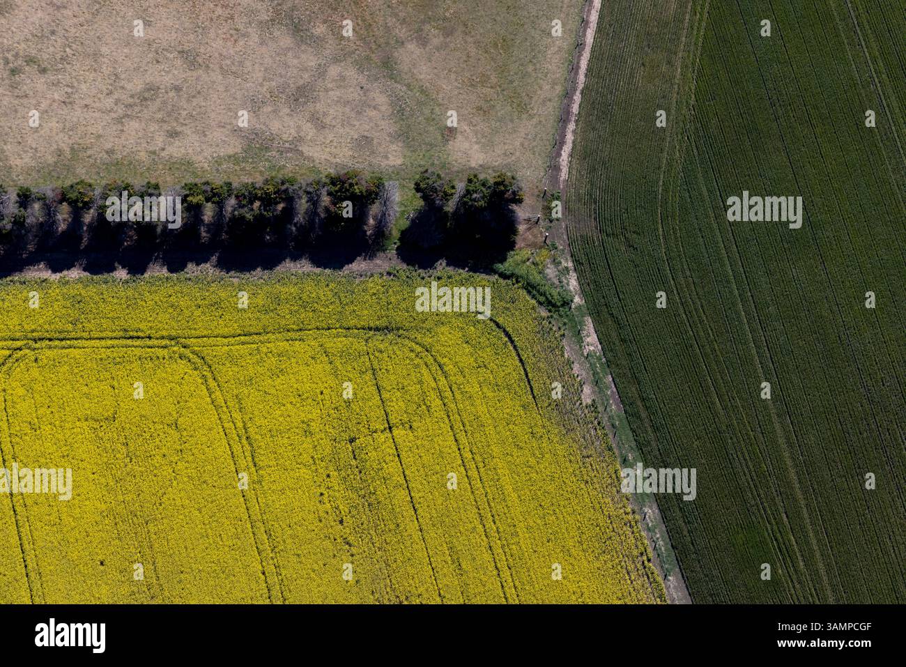 Aerial view of beautiful green and yellow farmland with fields and tree ...