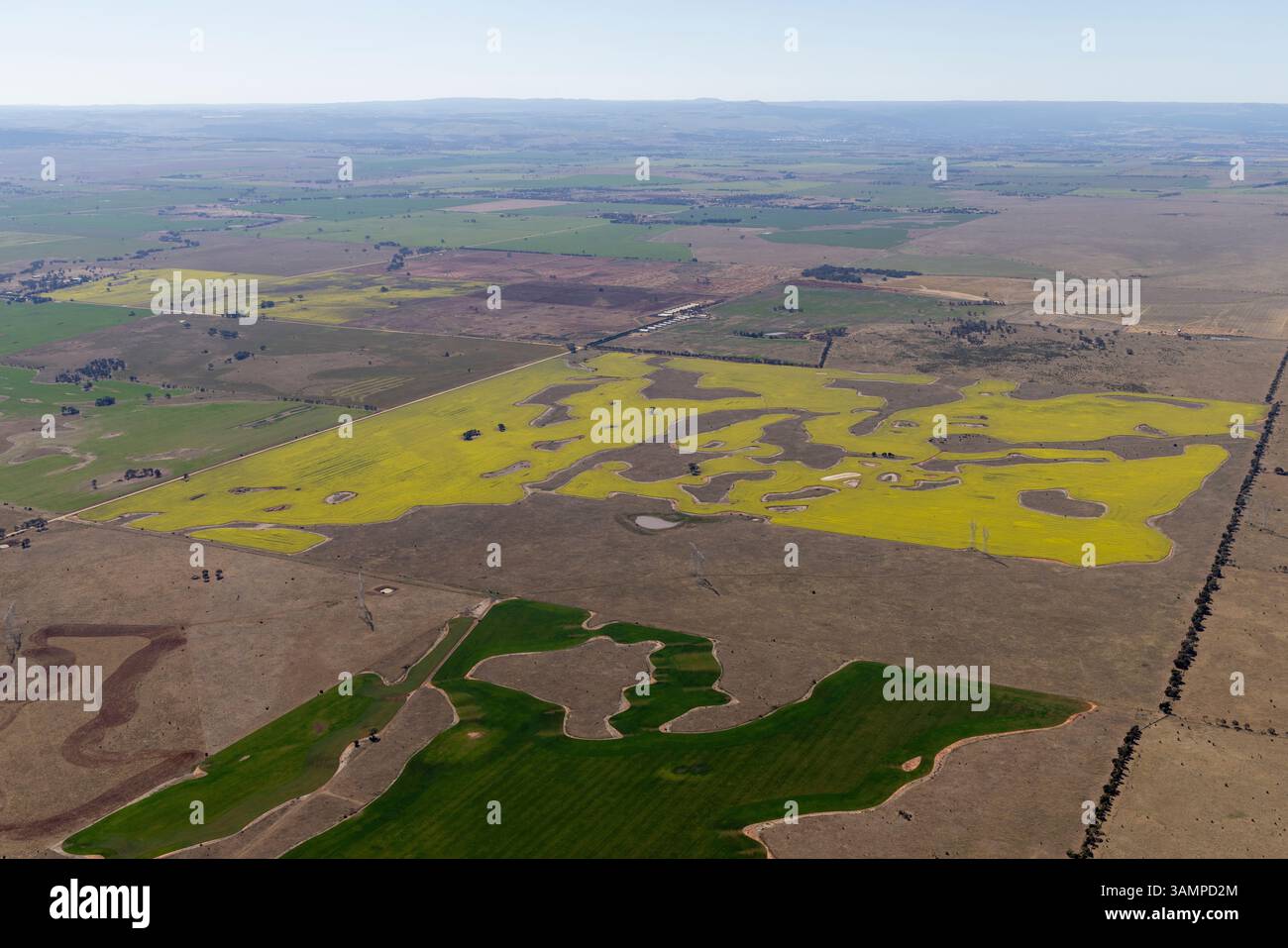Aerial view of expansive farmland with yellow and green fields, Melton ...