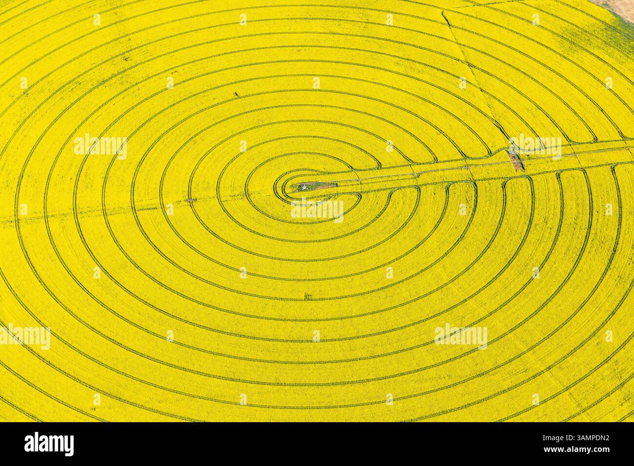 Aerial view of beautiful canola crop in circular pattern, Wyuna ...