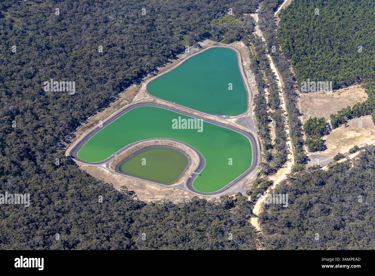 Aerial view of serene green water lake surrounded by lush forest and ...
