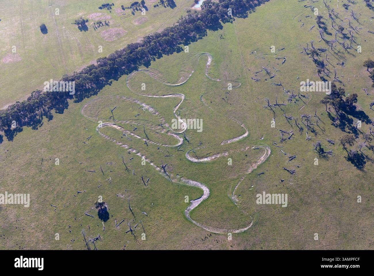 Aerial view of meandering paths through lush green fields and trees in ...