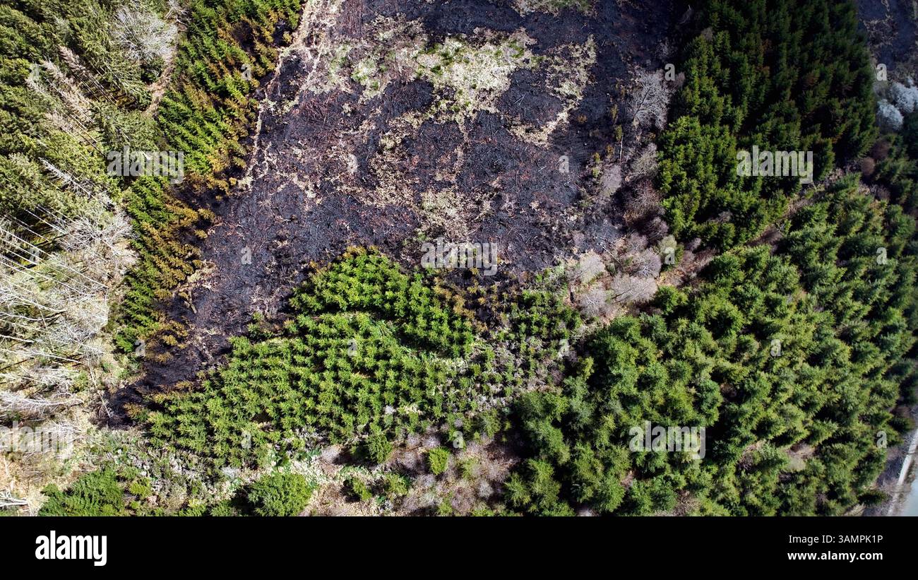 This aerial drone image shows the aftermath of a wildfire in Achouffe ...