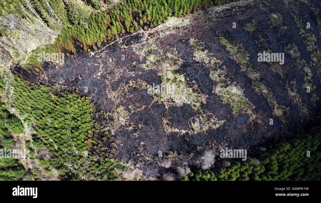 This aerial drone image shows the aftermath of a wildfire in Achouffe ...