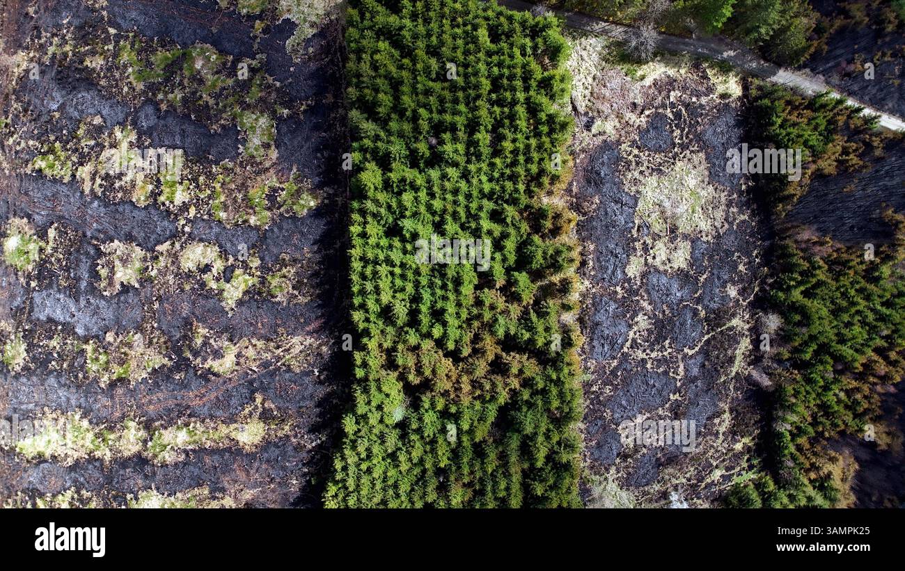 This aerial drone image shows the aftermath of a wildfire in Achouffe ...