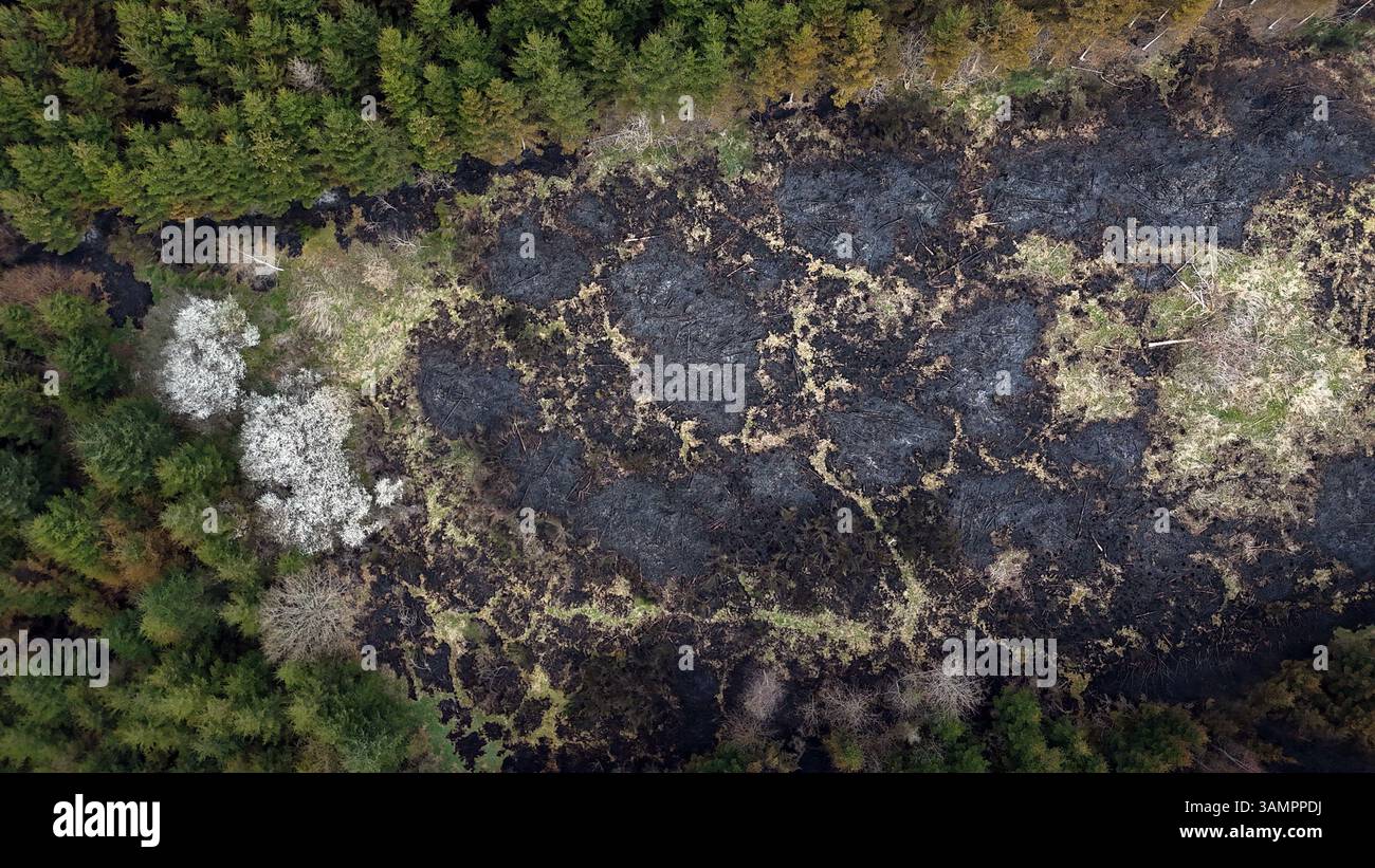 This aerial drone image shows the aftermath of a wildfire in Achouffe ...