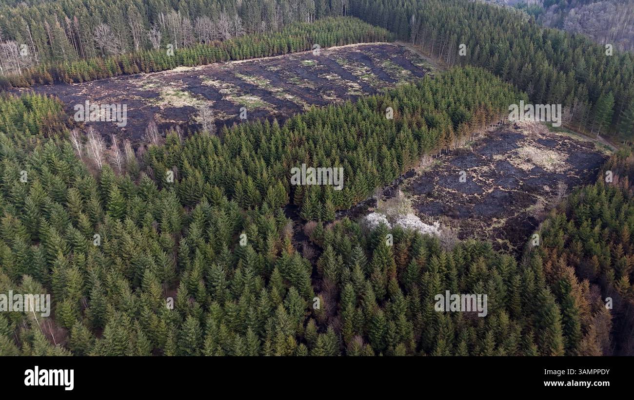 This aerial drone image shows the aftermath of a wildfire in Achouffe ...