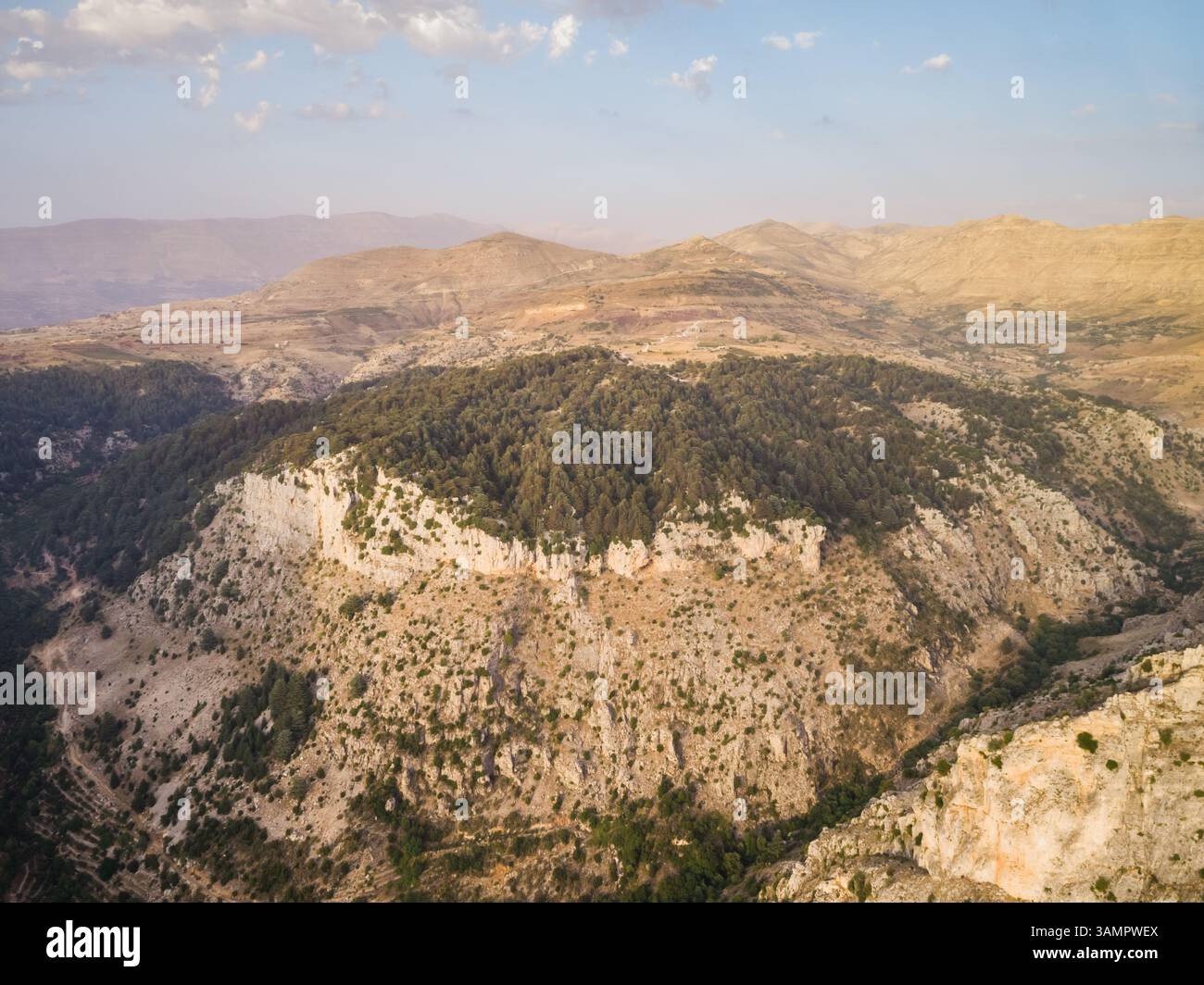 Aerial view of Tannourine cedar forest in the rocky mountains in ...