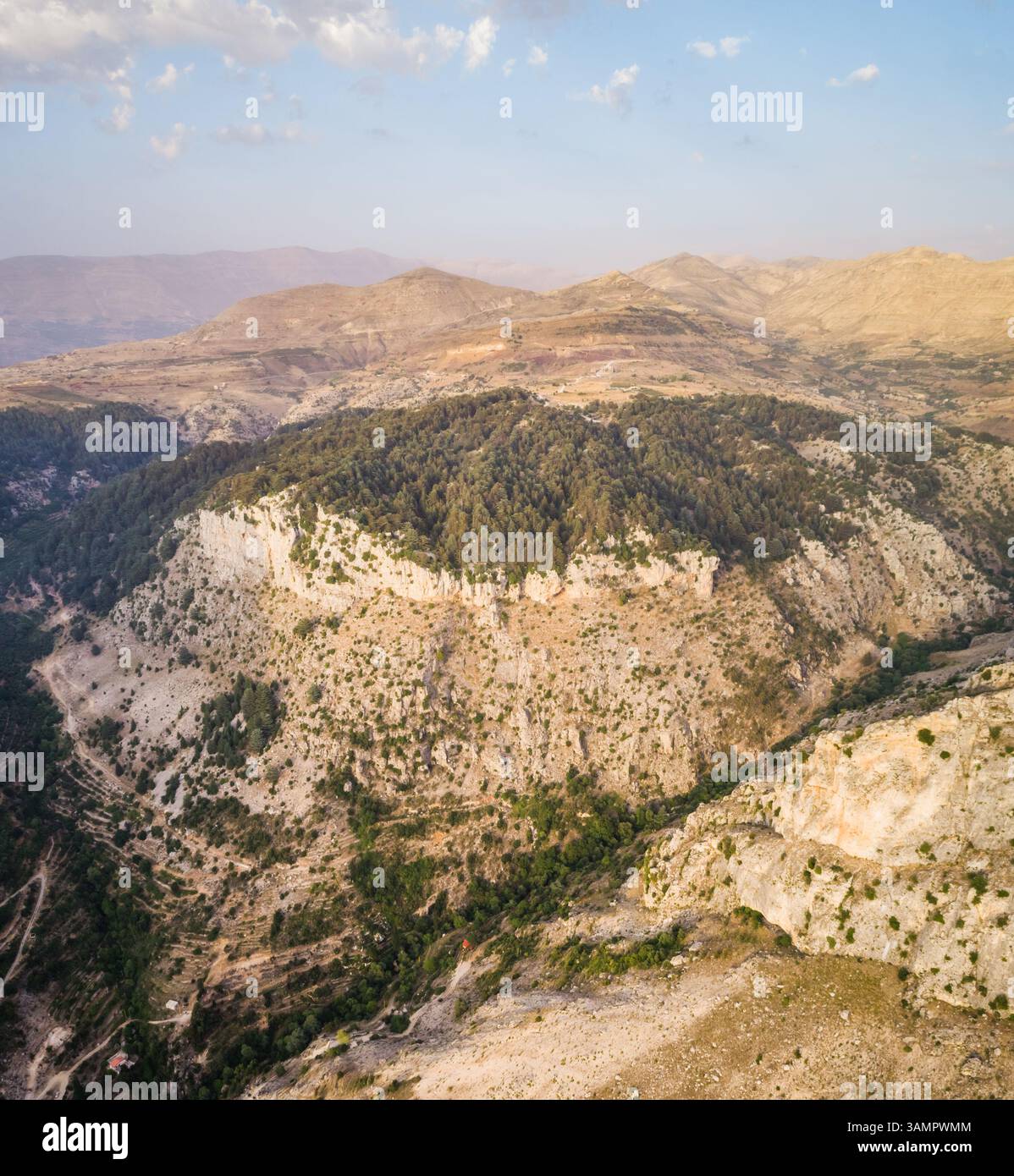 Aerial view of Tannourine cedar forest in the rocky mountains in ...