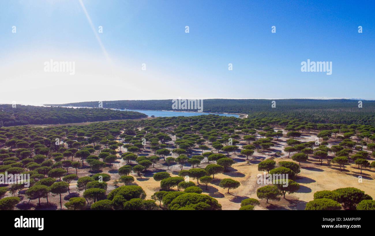 Aerial View of Dehesa Landscape Scenic Spanish Countryside Stock Photo ...