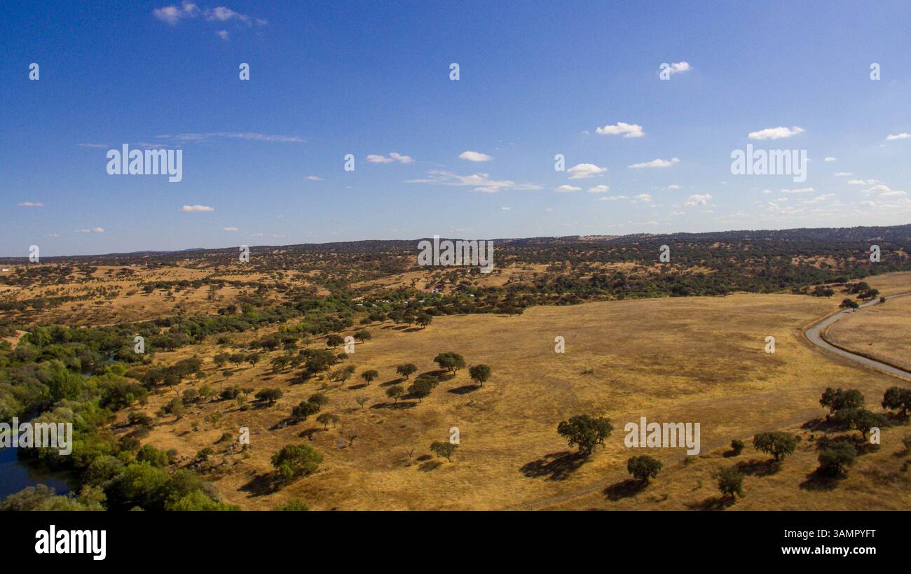Aerial View of Dehesa Landscape Scenic Spanish Countryside Stock Photo ...