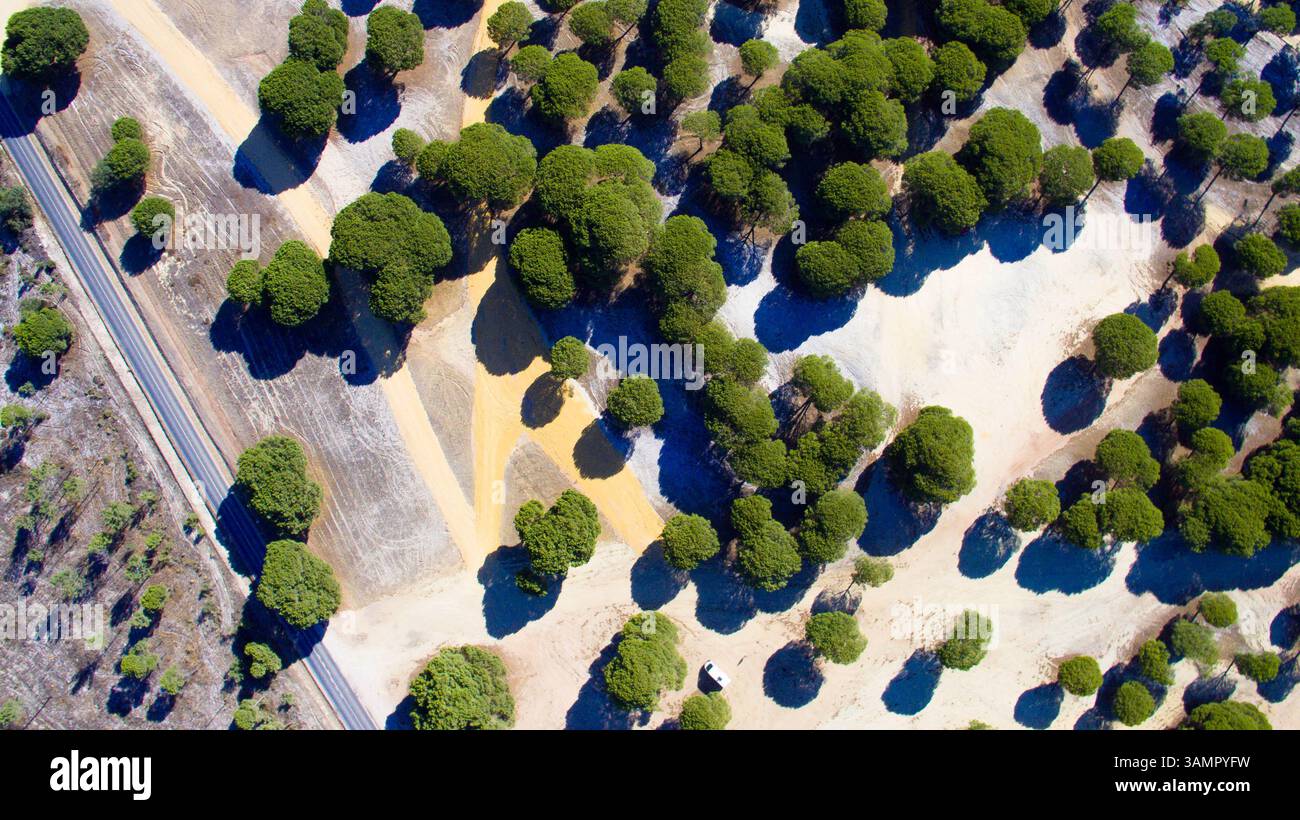 Aerial View of Dehesa Landscape Scenic Spanish Countryside Stock Photo ...