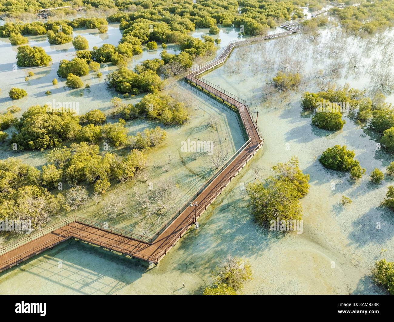 Aerial view of Jubail Mangrove, Abu Dhabi, United Arab Emirates Stock ...