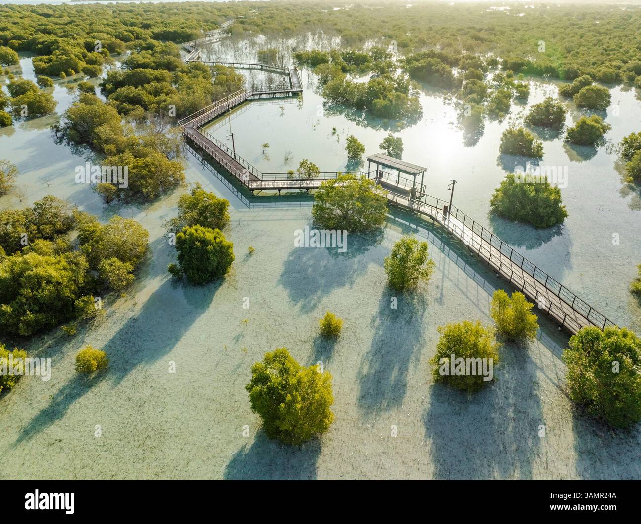 Aerial view of Jubail Mangrove, Abu Dhabi, United Arab Emirates Stock ...