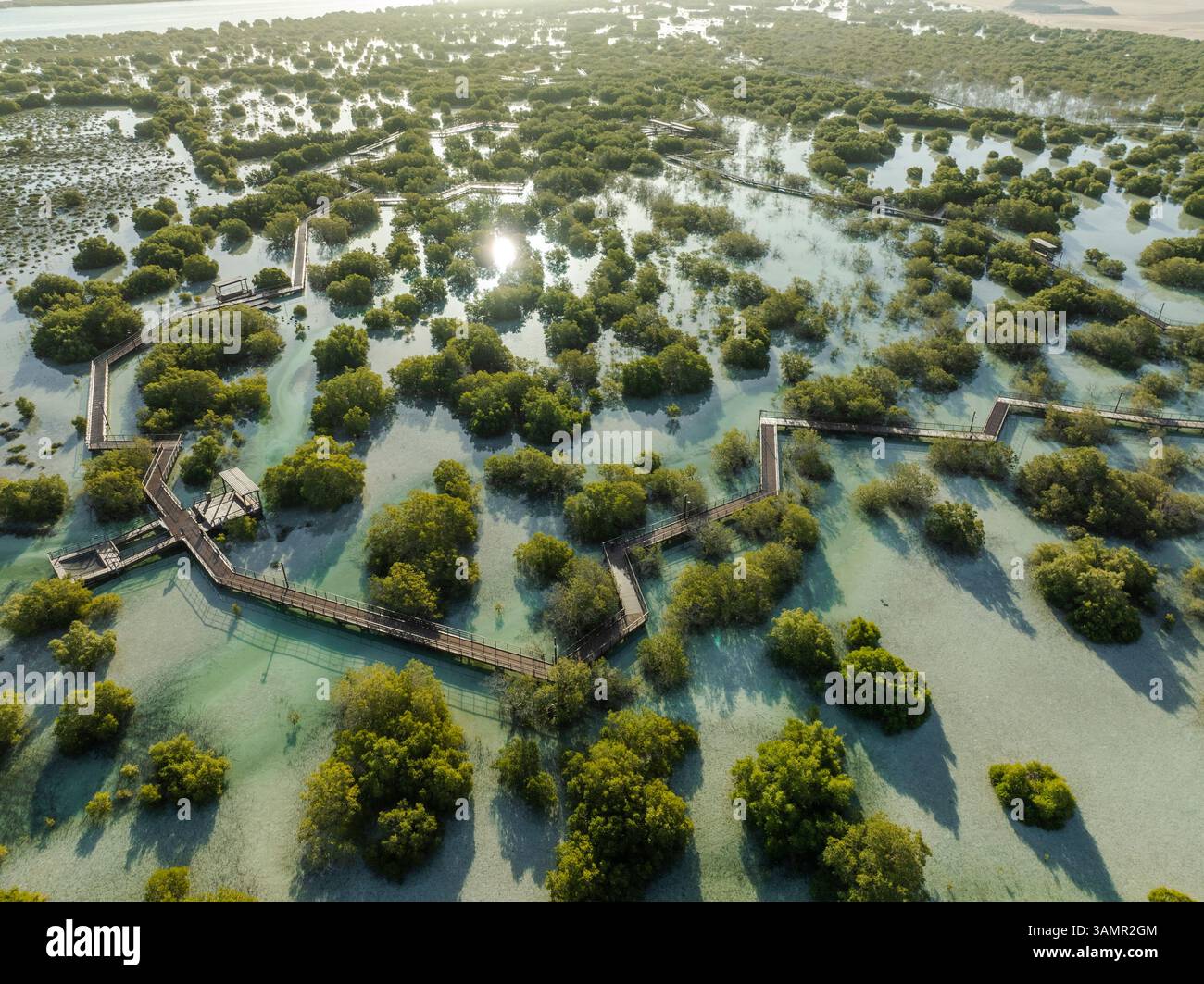 Aerial view of Jubail Mangrove, Abu Dhabi, United Arab Emirates Stock ...