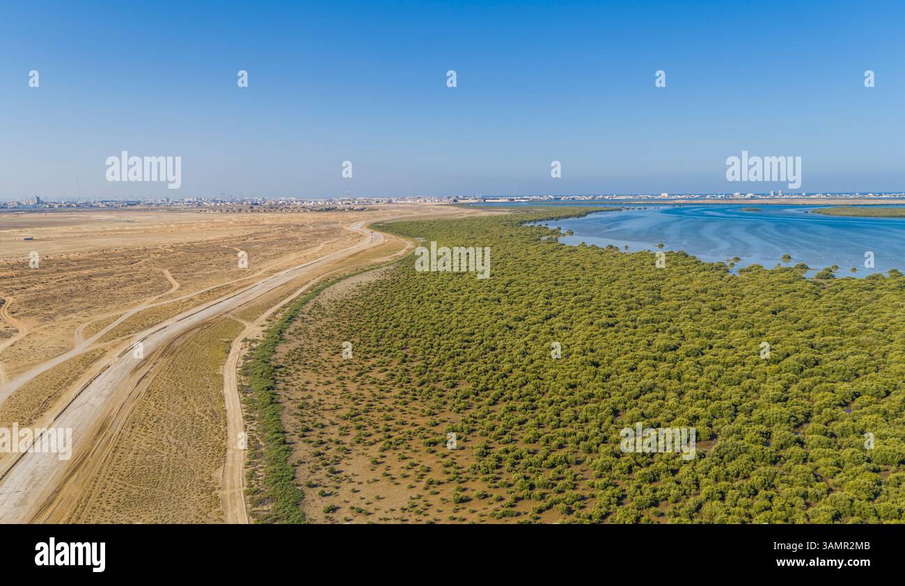 Aerial view of a marshland with sand dunes and mangroves field, Dubai ...