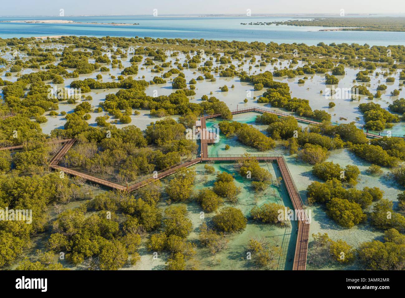 Aerial view of Jubail Mangrove walking park in Abu Dhabi, United Arab ...