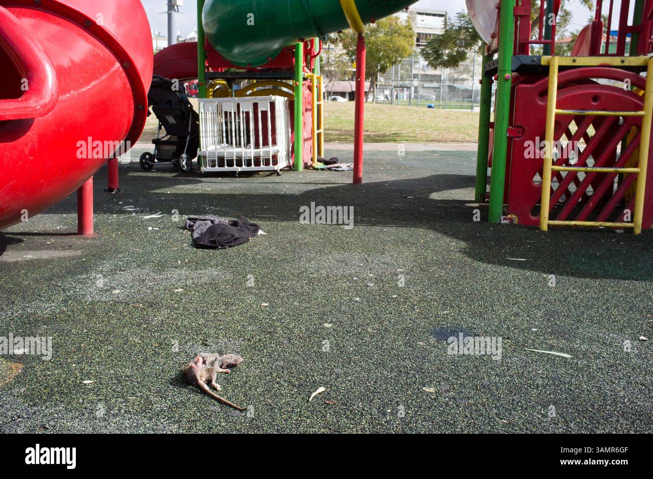 Jan. 28, 2014 - Tel Aviv, Israel - The carcass of a rat litters the ...