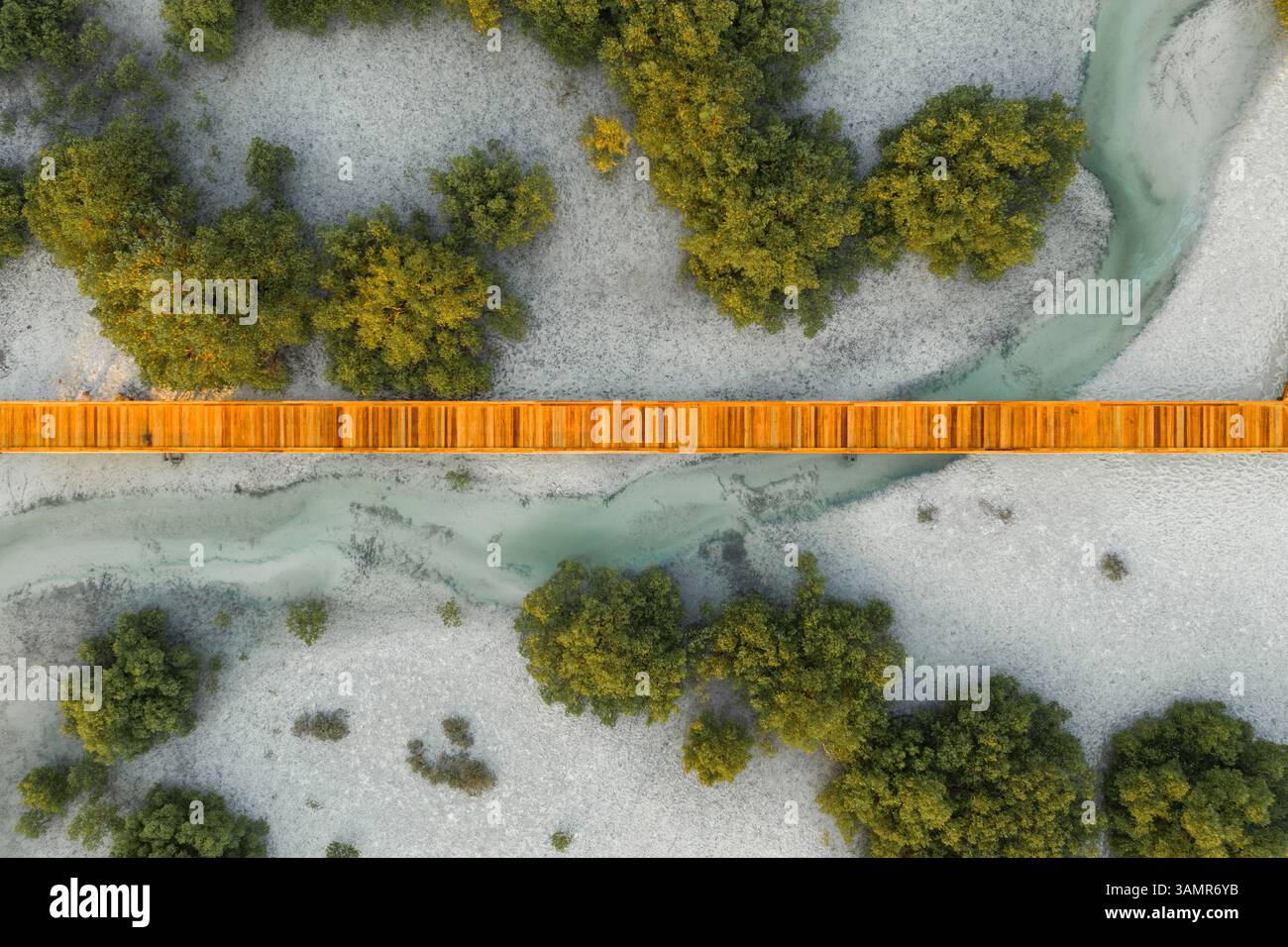 Aerial view above of wooden pier crossing Jubail Mangrove Park in Abu ...