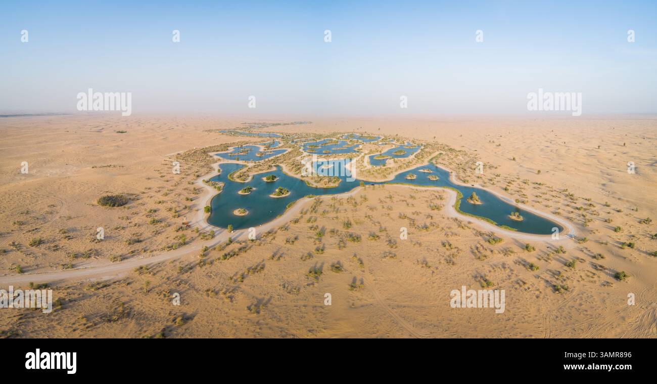 Aerial view of big oasis in the middle of desert landscape, U.A.E Stock ...