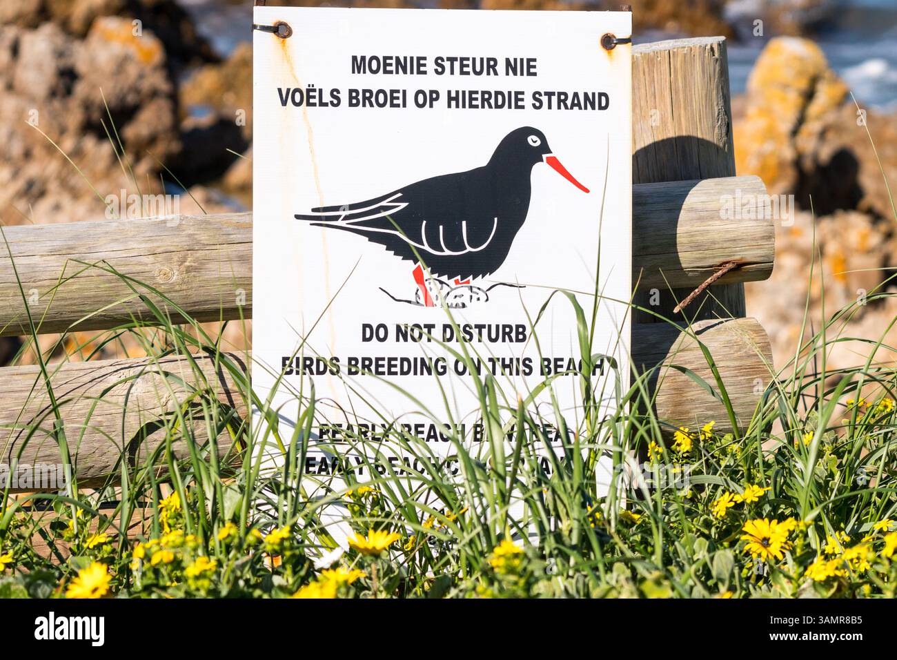 sign board, signage showing African black Oystercatcher bird with a do ...