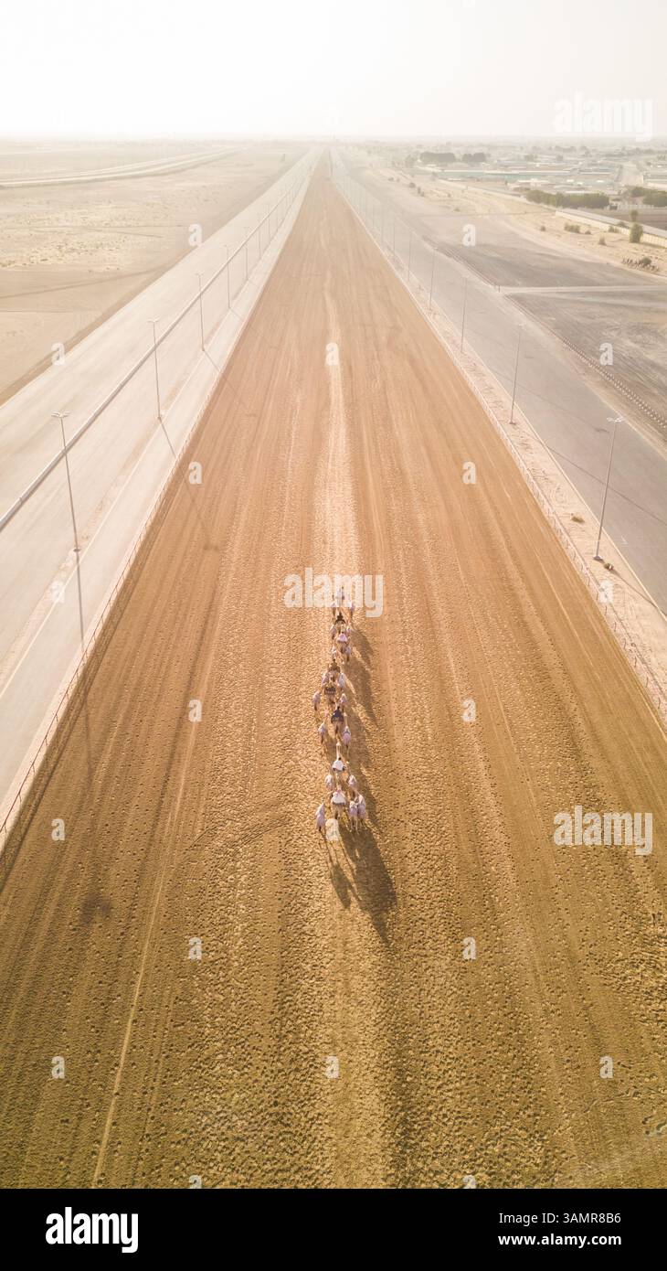Aerial view of Jockeys and camels on Al Marmoum Camel Racetrack in ...