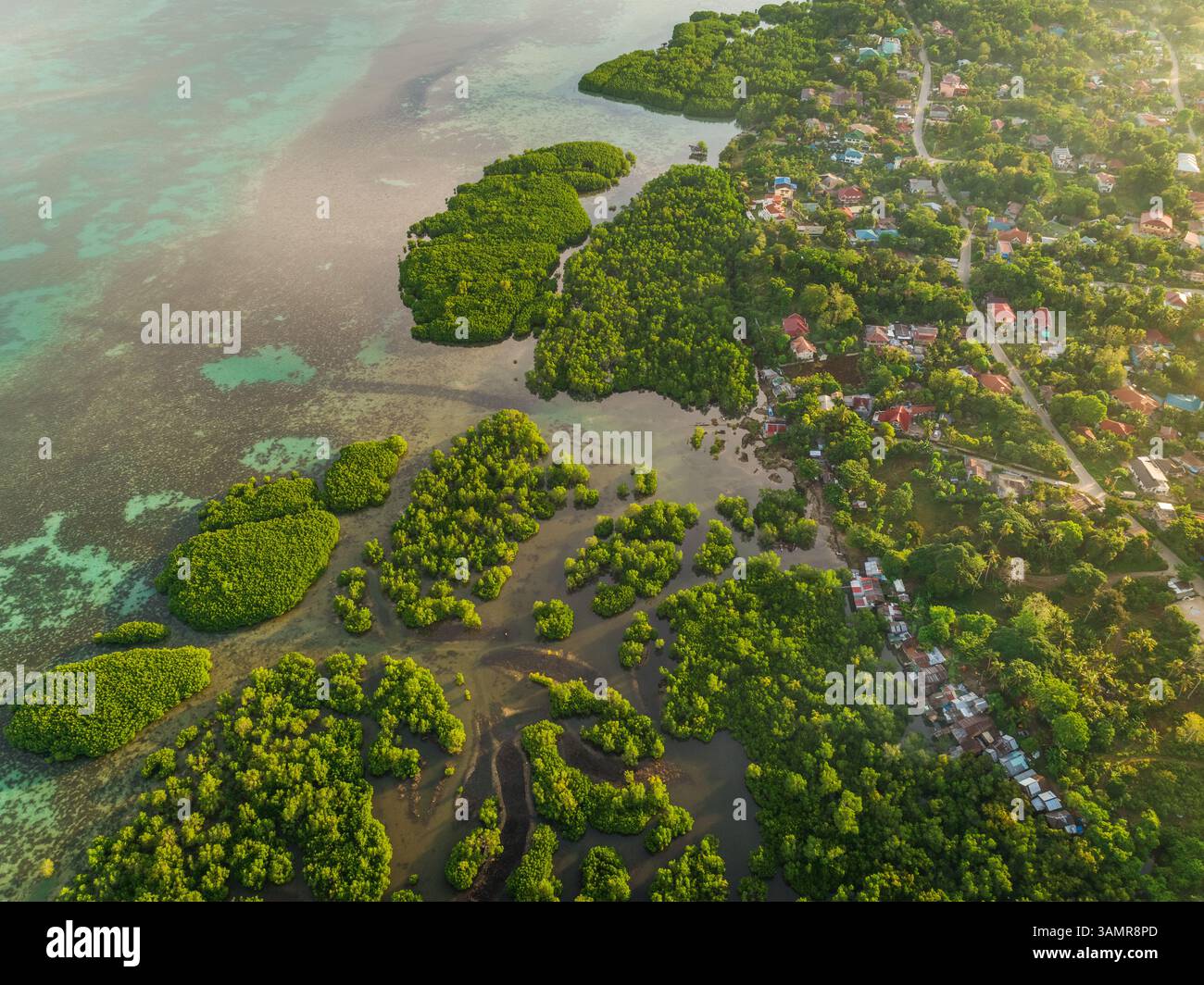 Aerial view of coastal town and mangroves in Taloto district ...
